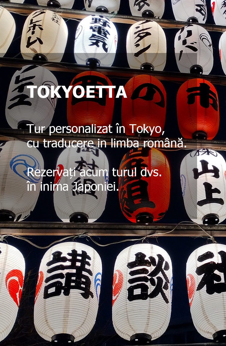 Tur personalizat în Tokyo , cu traducere in limba română. Trăiește o ...